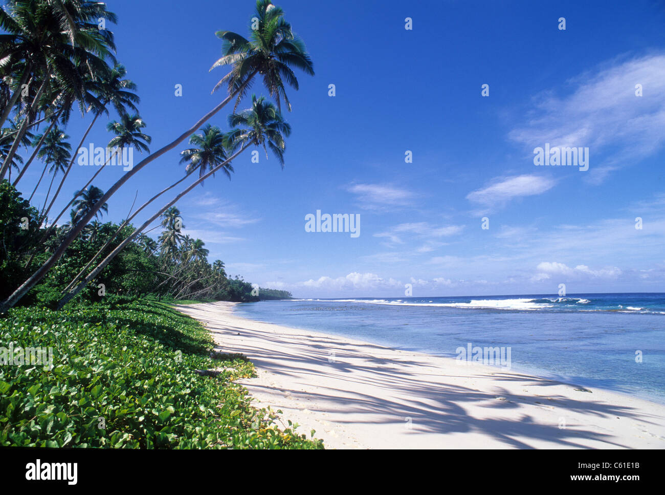 Savaii island samoa -Fotos und -Bildmaterial in hoher Auflösung – Alamy