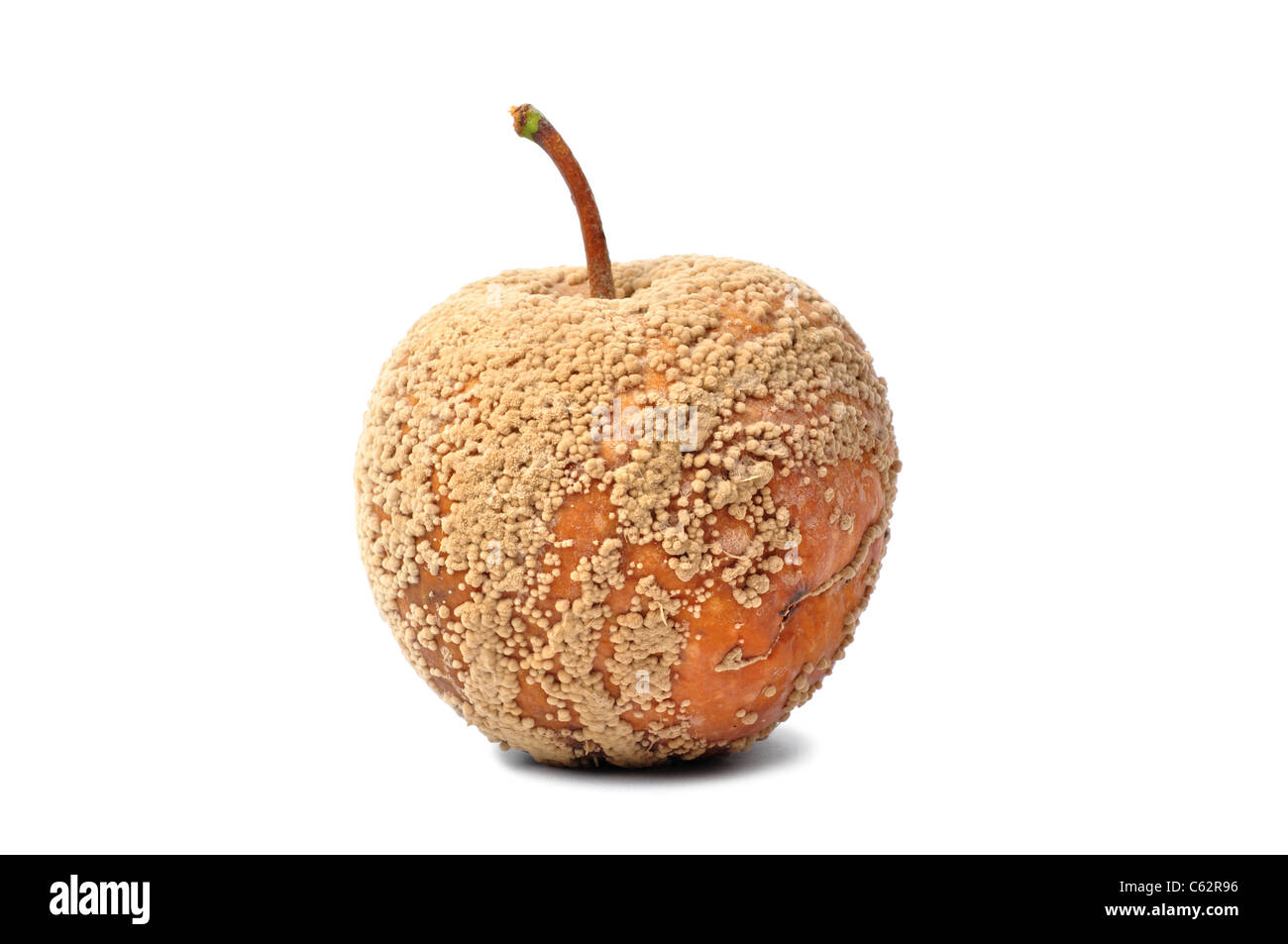 Apfel verfault -Fotos und -Bildmaterial in hoher Auflösung – Alamy