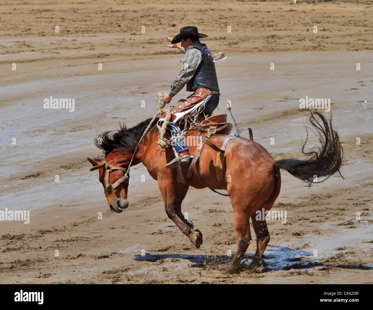 Cowboy mit sattel -Fotos und -Bildmaterial in hoher Auflösung – Alamy