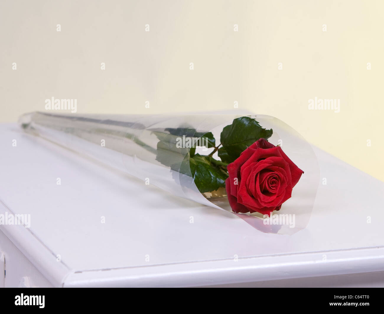 Eine rote rote rose -Fotos und -Bildmaterial in hoher Auflösung – Alamy