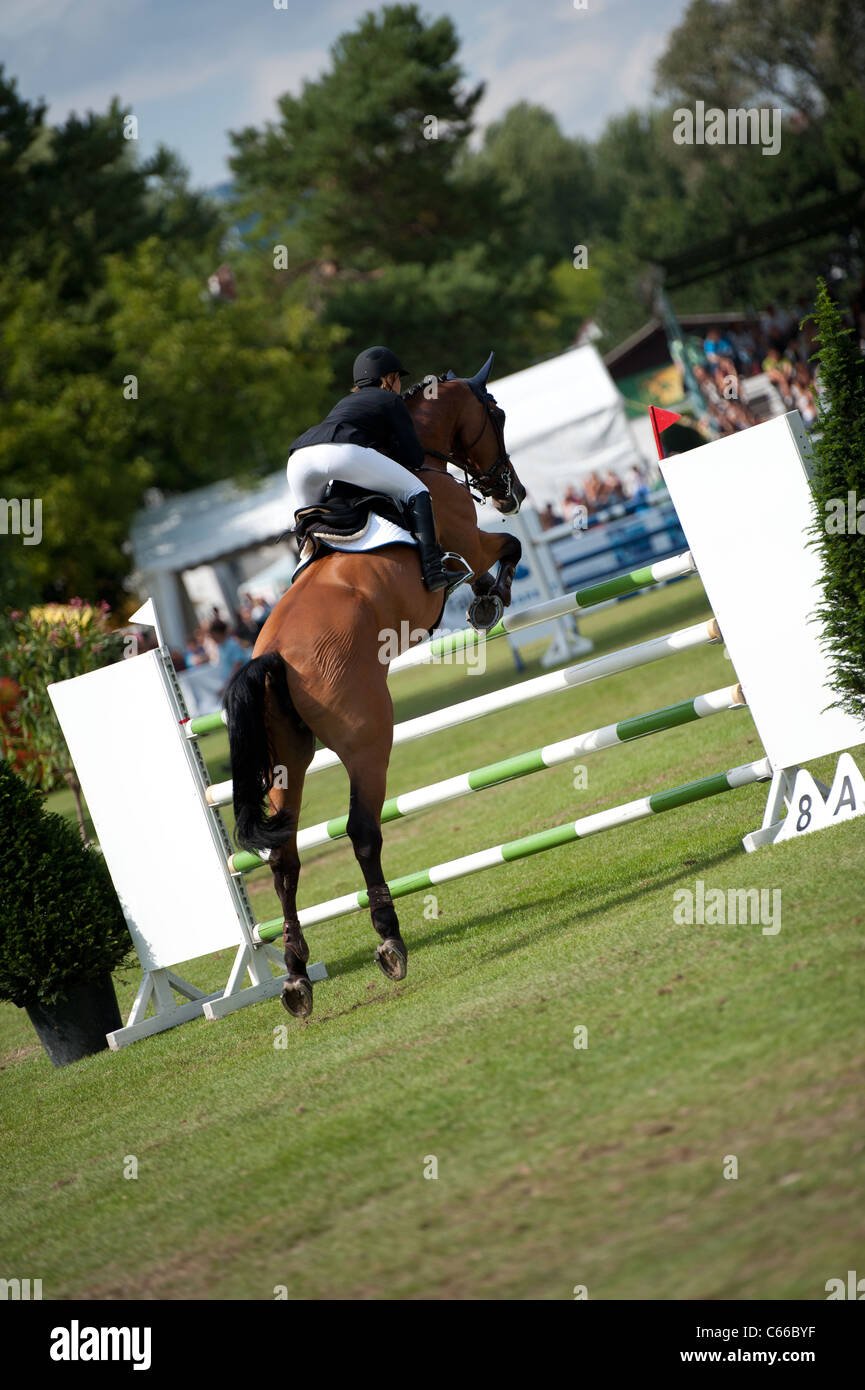 Schwarzer reiter, der vorbei springt -Fotos und -Bildmaterial in hoher ...