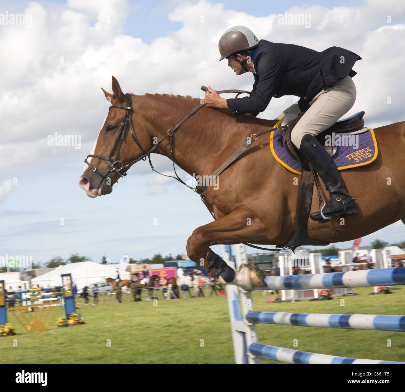 Männlicher konkurrent -Fotos und -Bildmaterial in hoher Auflösung – Alamy