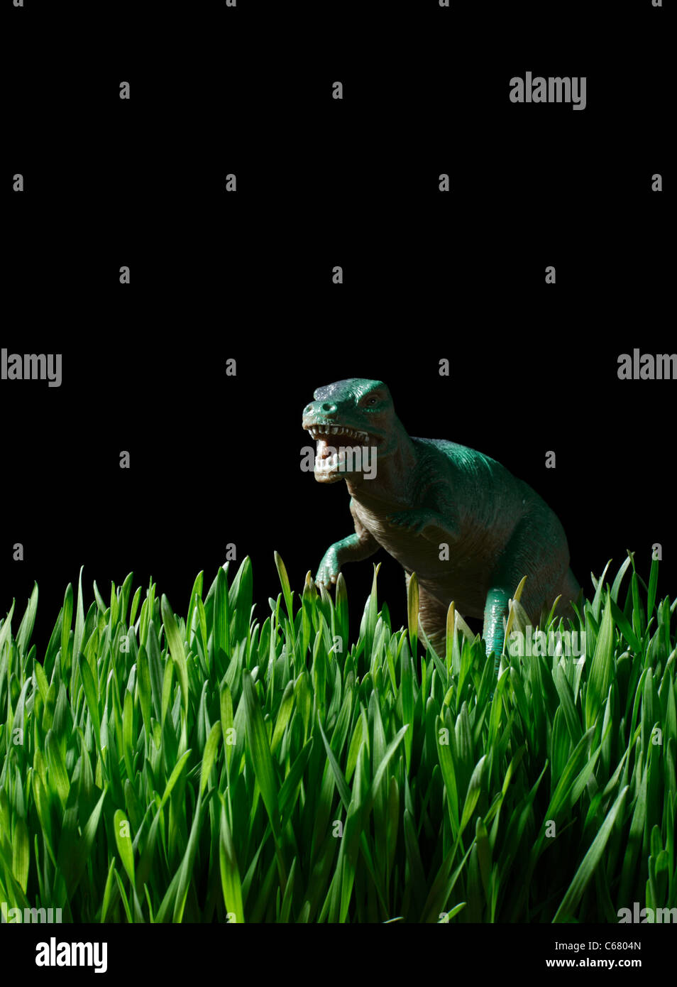 Monster im gras -Fotos und -Bildmaterial in hoher Auflösung – Alamy