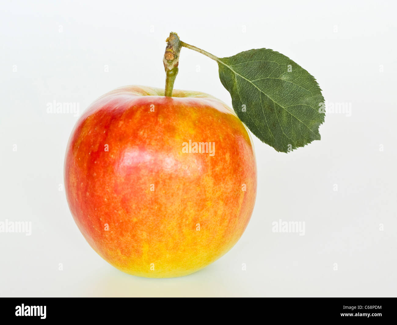 Baum Apfelbaum Stockfotos & Baum Apfelbaum Bilder - Alamy