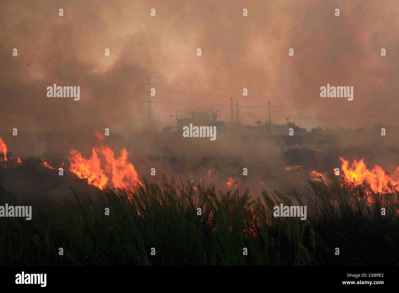 Rauch aufsteigt, nach einem Grad Rakete Streik der Hamas auf die ...