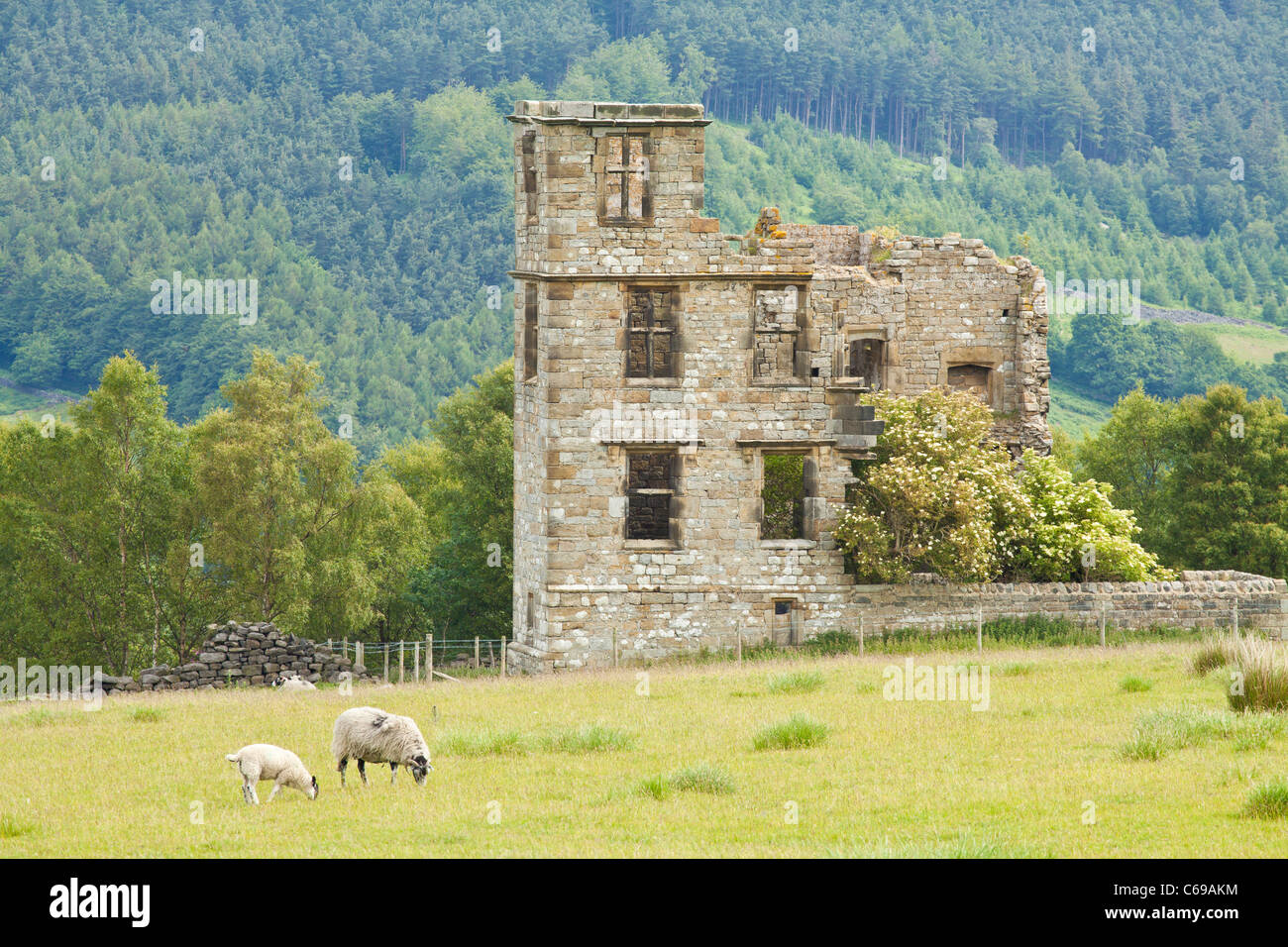 Dob park lodge -Fotos und -Bildmaterial in hoher Auflösung – Alamy