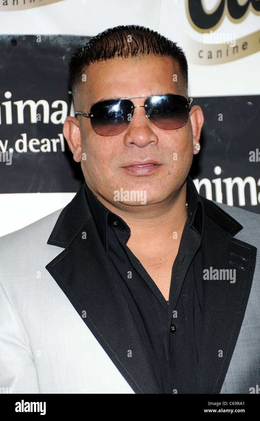 Prince malik -Fotos und -Bildmaterial in hoher Auflösung – Alamy