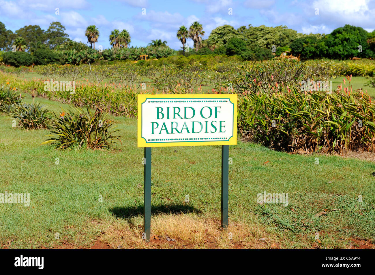 Paradies plantage -Fotos und -Bildmaterial in hoher Auflösung – Alamy