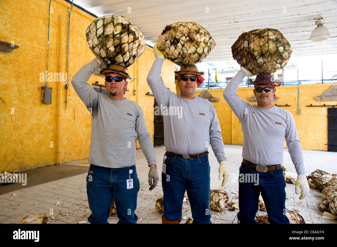 Arbeitnehmer im Tequila Jose Cuervo Werk Stockfotografie - Alamy