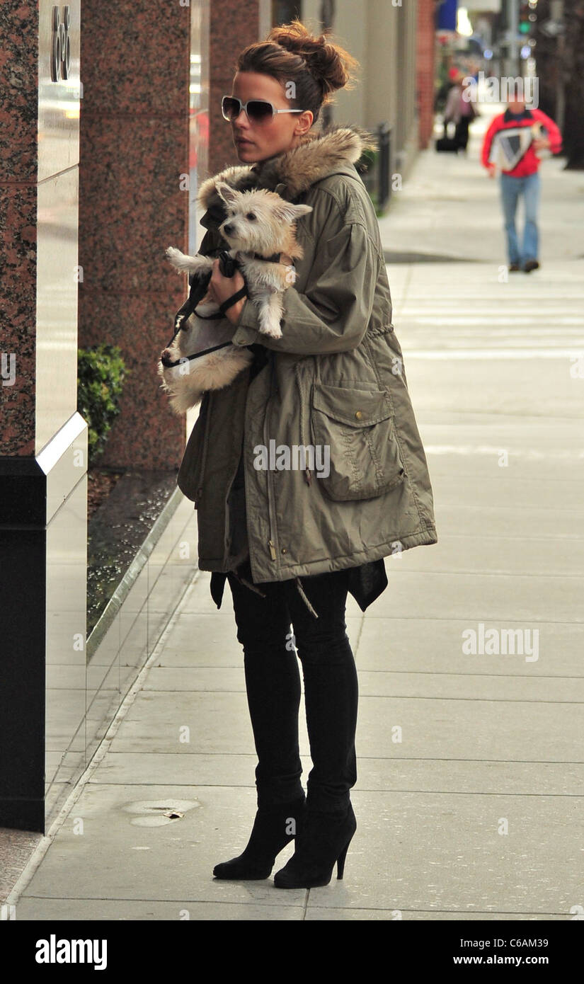 Lily wiseman -Fotos und -Bildmaterial in hoher Auflösung – Alamy