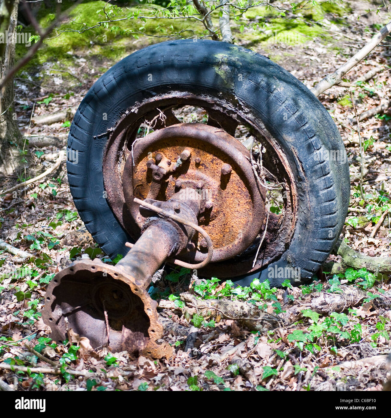 Eine axiale -Fotos und -Bildmaterial in hoher Auflösung – Alamy