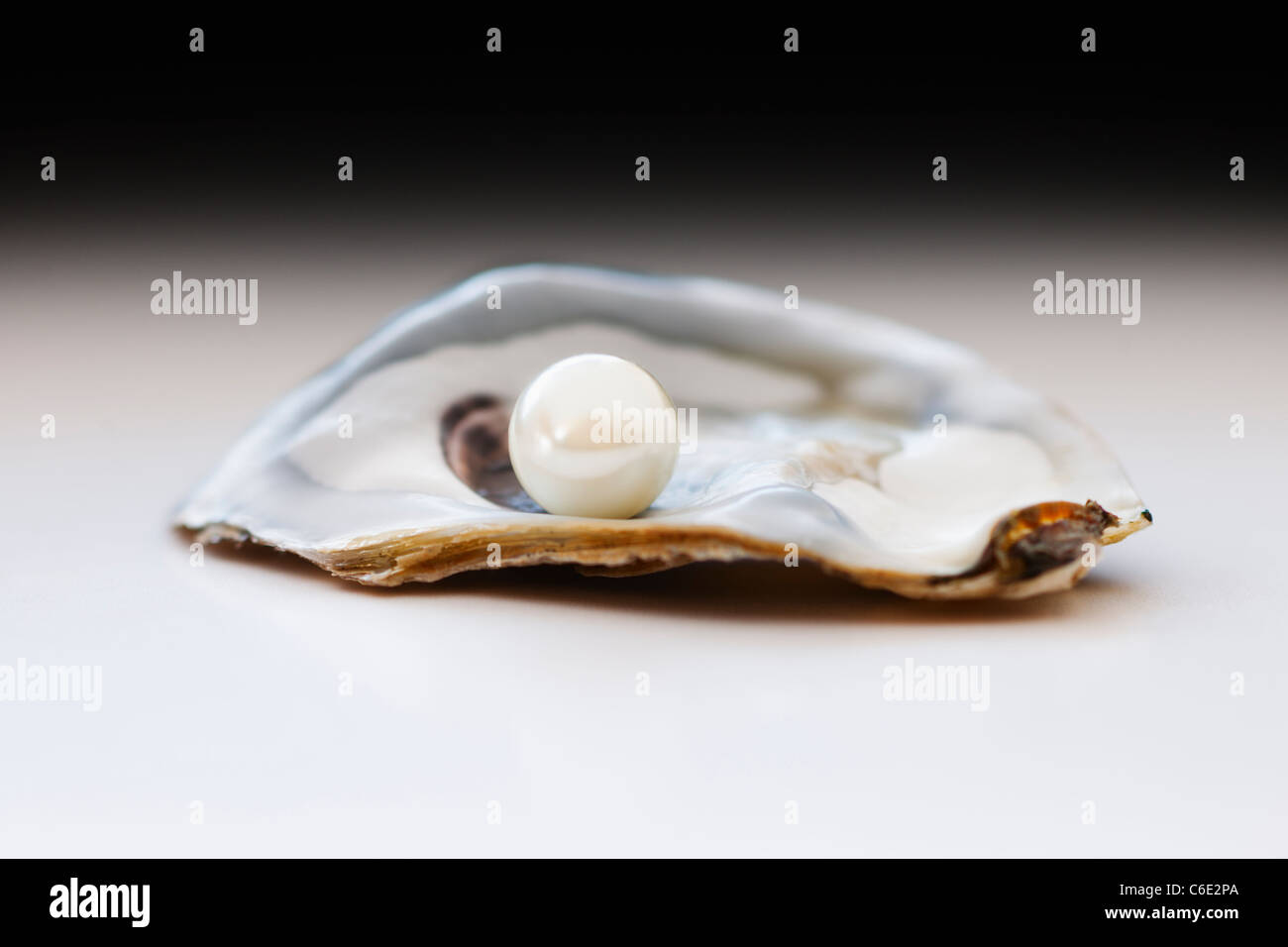 Auster perle -Fotos und -Bildmaterial in hoher Auflösung – Alamy