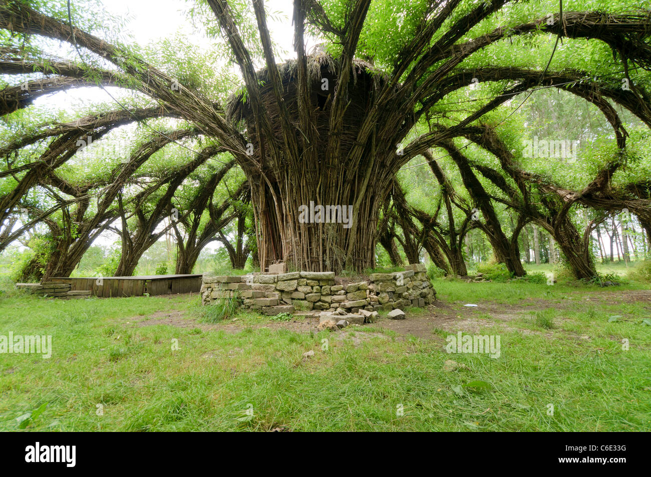 Auerworld Palast, der weltweit größten lebenden Konstruktion aus ...