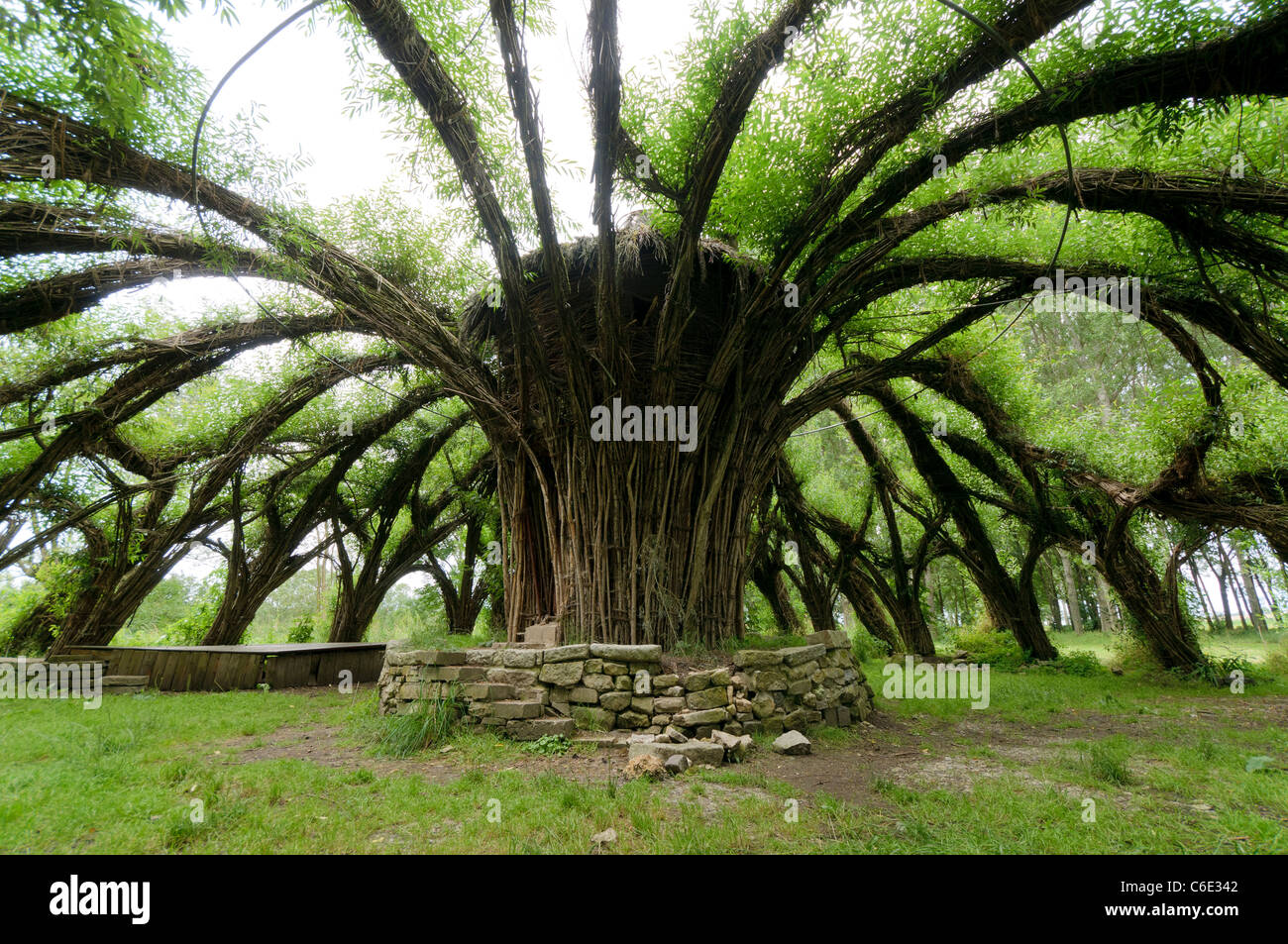 Auerworld Palast, der weltweit größten lebenden Konstruktion aus ...