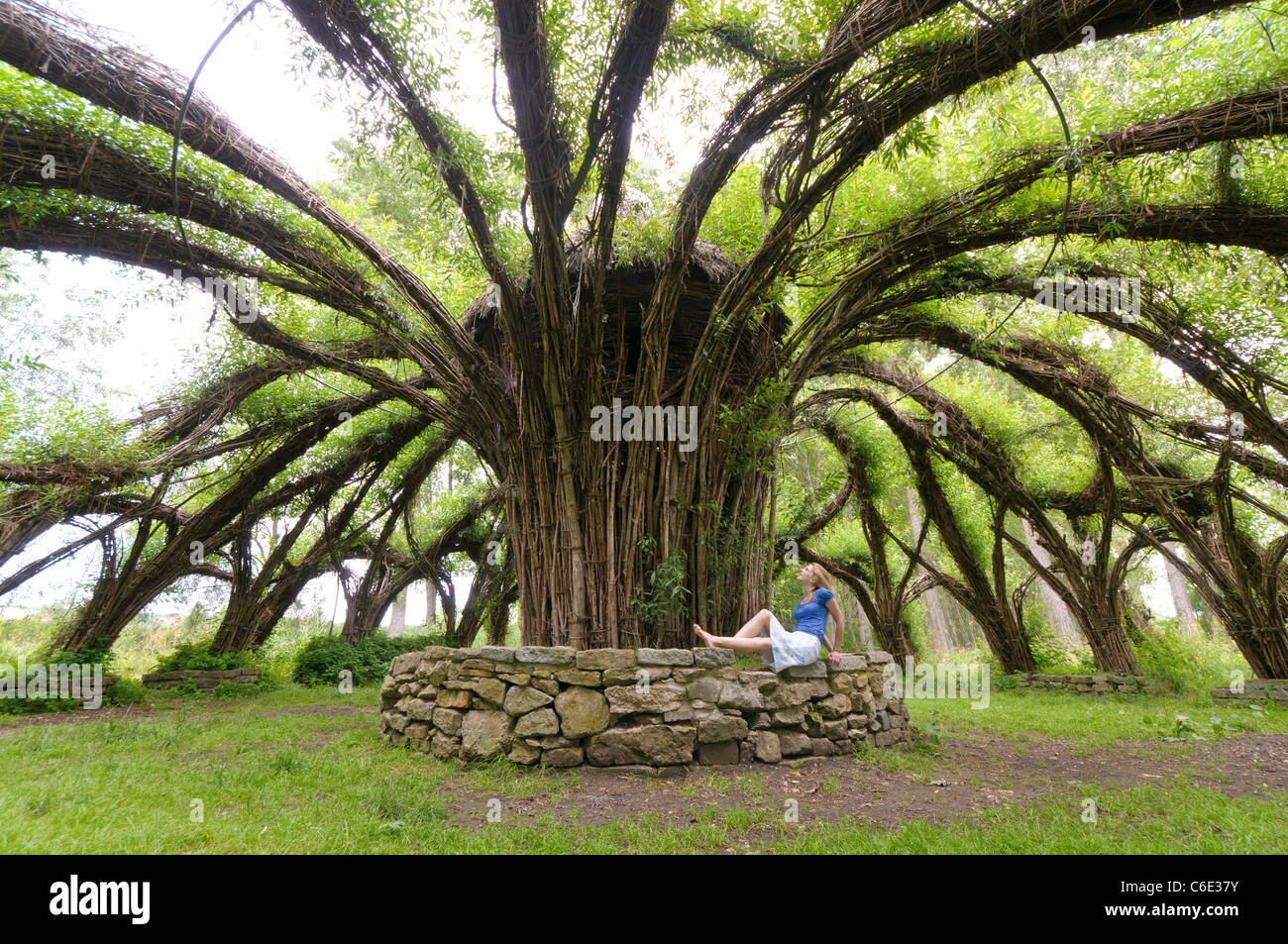 Auerworld Palast, der weltweit größten lebenden Konstruktion aus ...