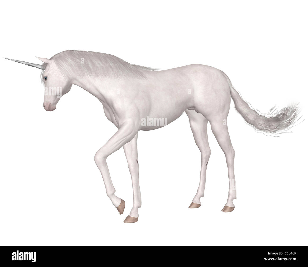 Magisches einhorn -Fotos und -Bildmaterial in hoher Auflösung – Alamy