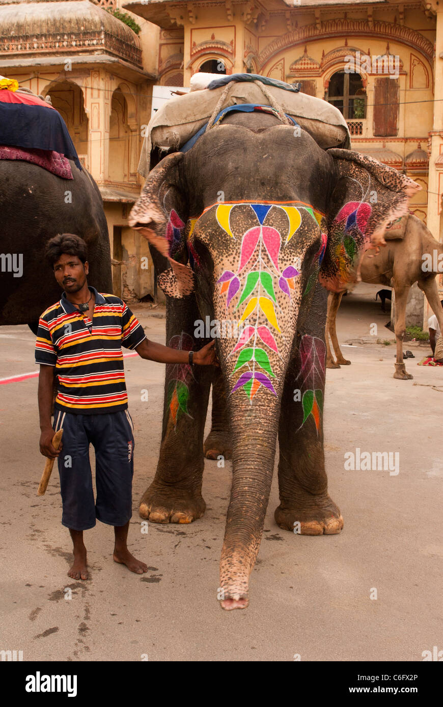 Elephant festival parade -Fotos und -Bildmaterial in hoher Auflösung ...