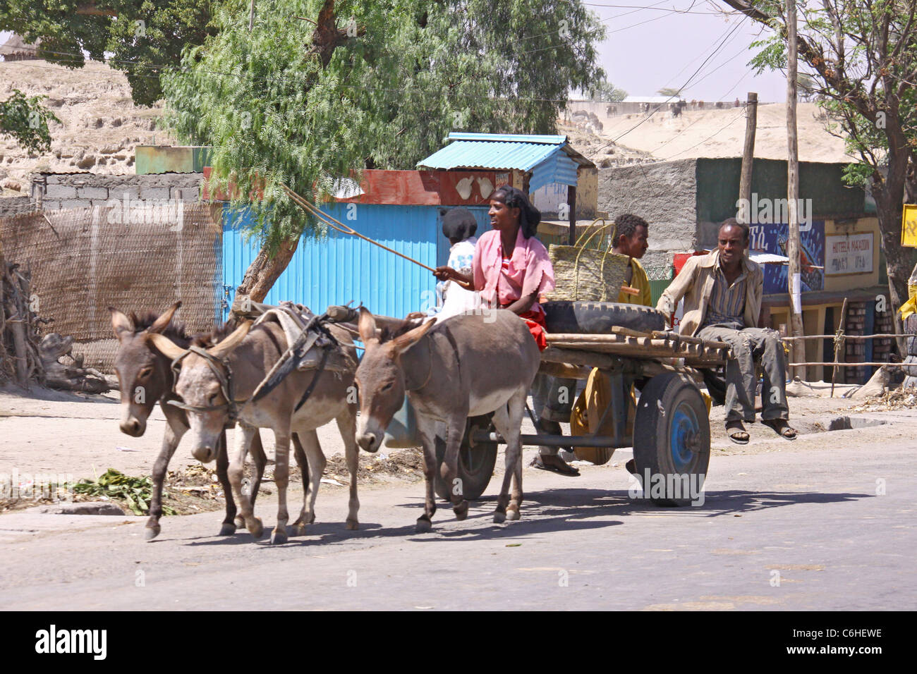Esel last -Fotos und -Bildmaterial in hoher Auflösung – Alamy