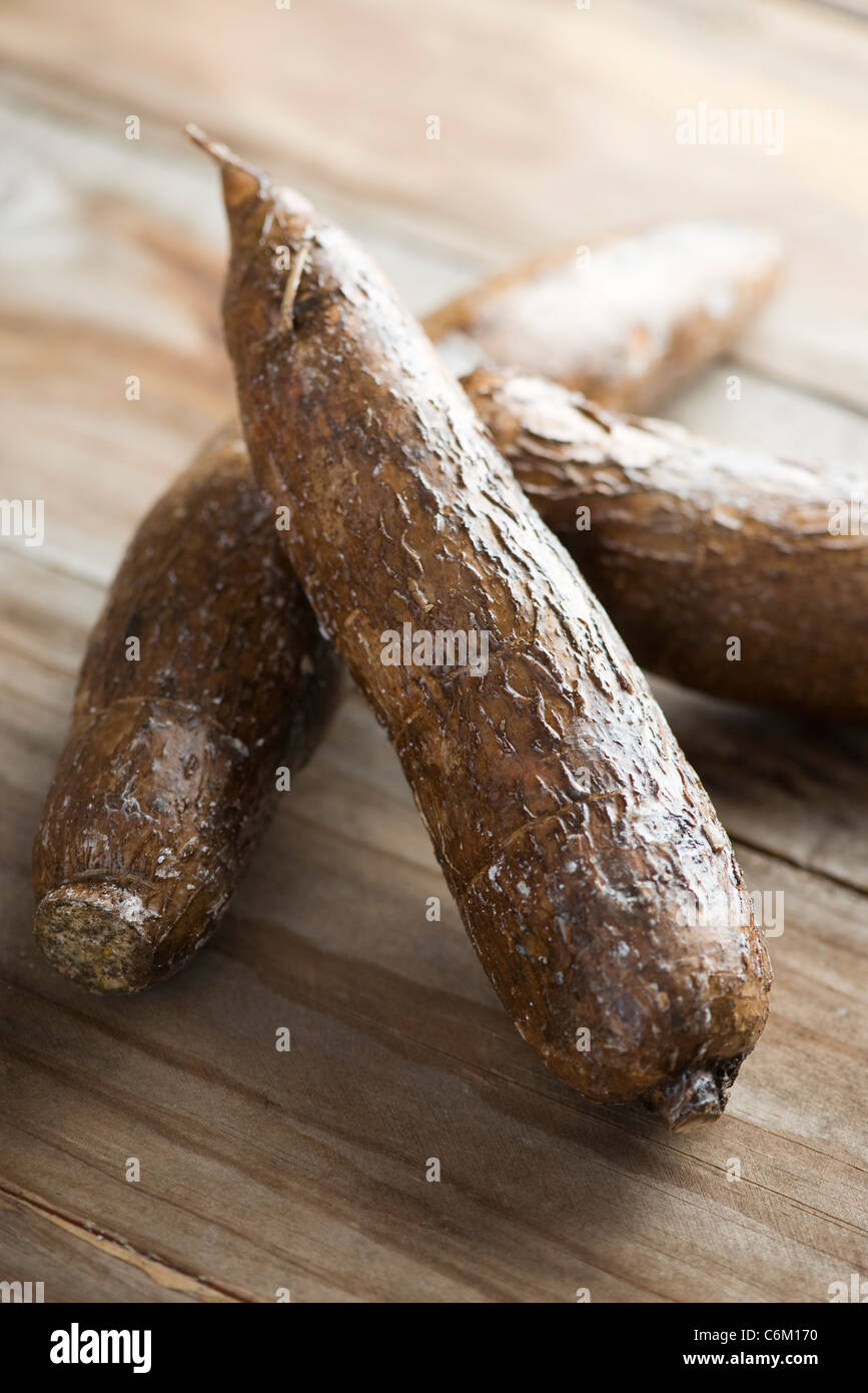 Maniok -Fotos und -Bildmaterial in hoher Auflösung – Alamy