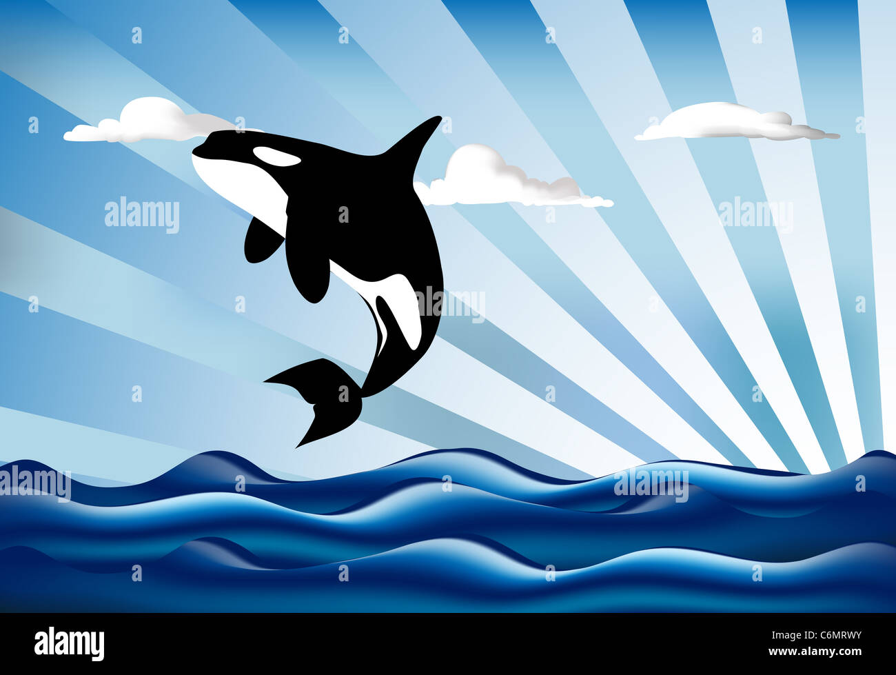 Orcinus Orca Schwertwal hoch springen Stockfotografie - Alamy