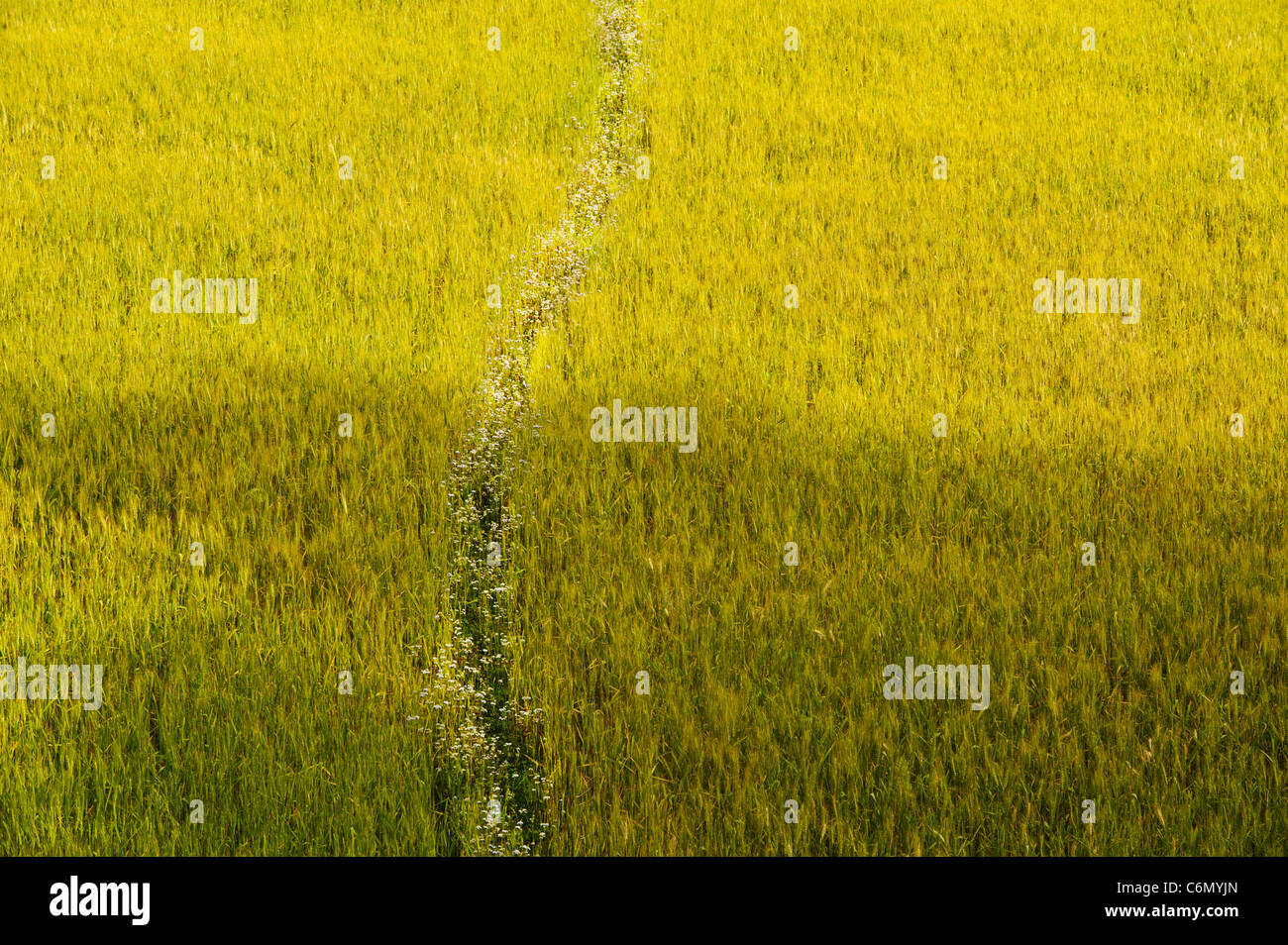 Gutes signal -Fotos und -Bildmaterial in hoher Auflösung – Alamy