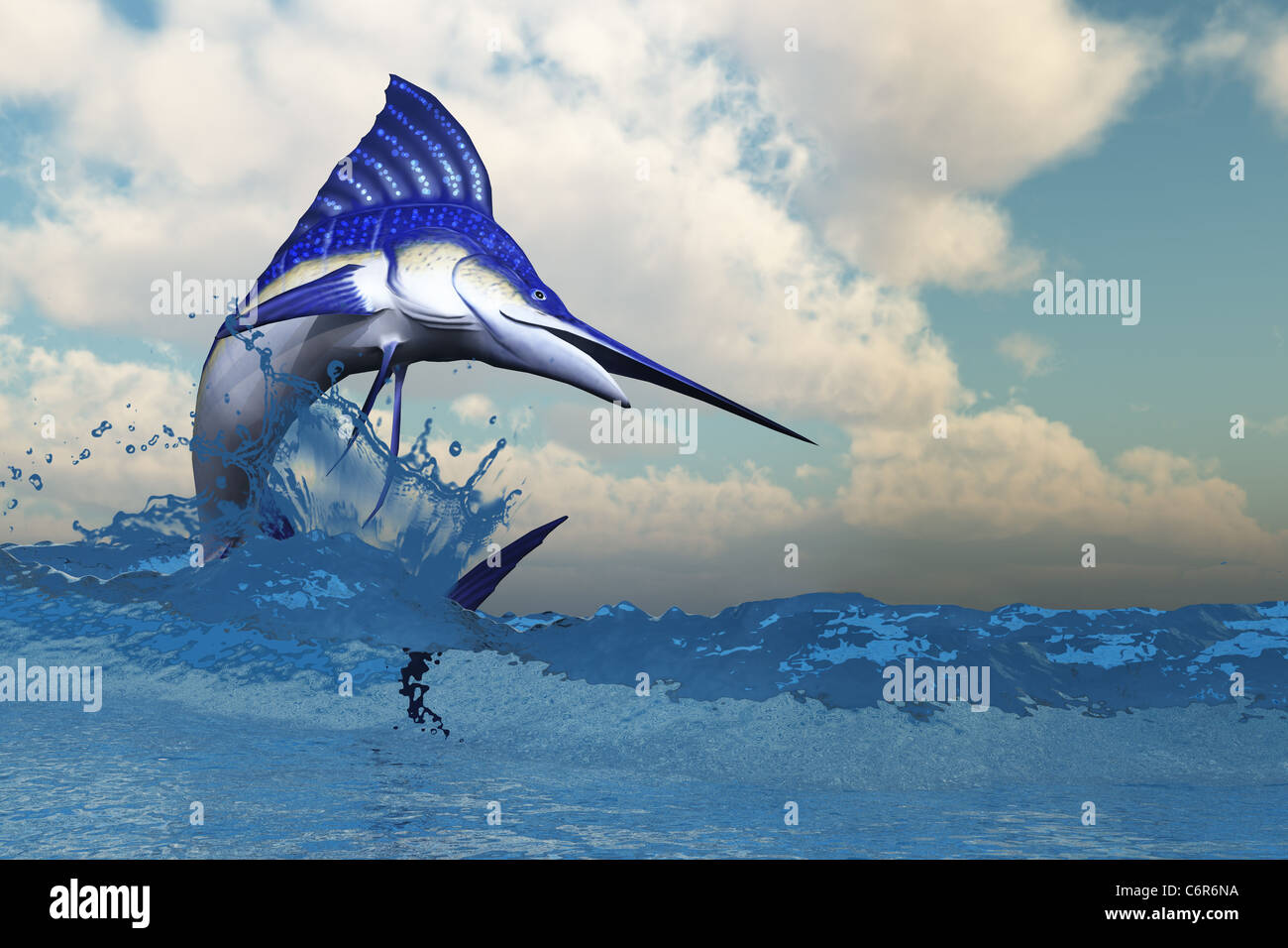Blue marlin underwater -Fotos und -Bildmaterial in hoher Auflösung – Alamy
