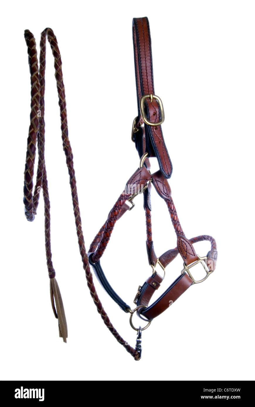 Leder Pferd Halfter und geflochtenem Leder Anbindestrick isoliert auf ...