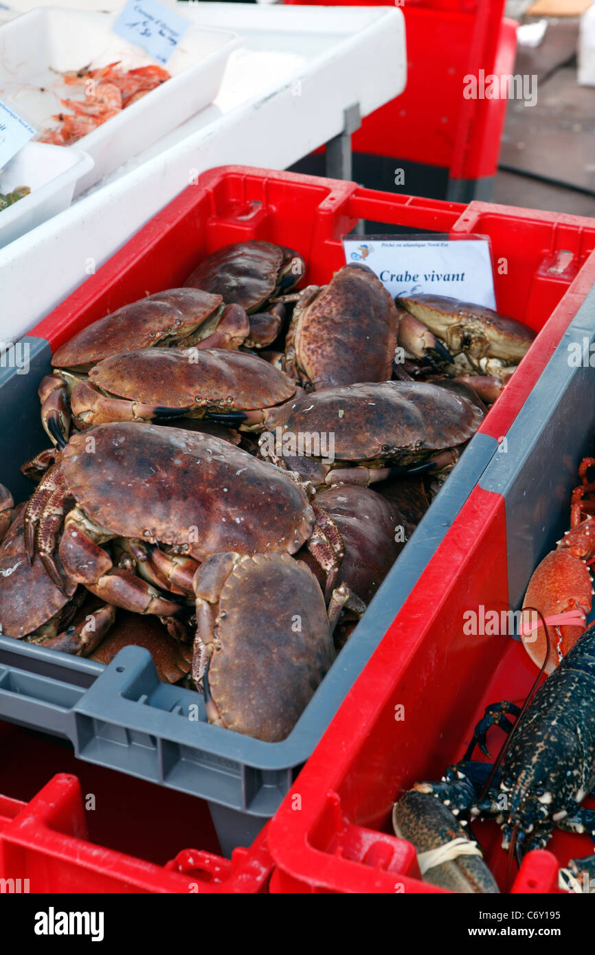 Essbare fische auf einem markt Stockfotos und -bilder Kaufen - Alamy
