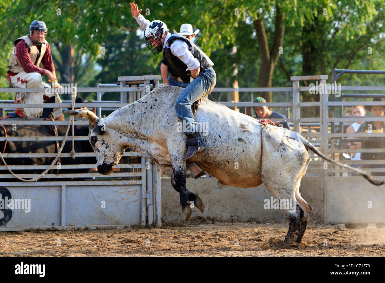 Bullenreiten cowboy beim rodeo -Fotos und -Bildmaterial in hoher ...