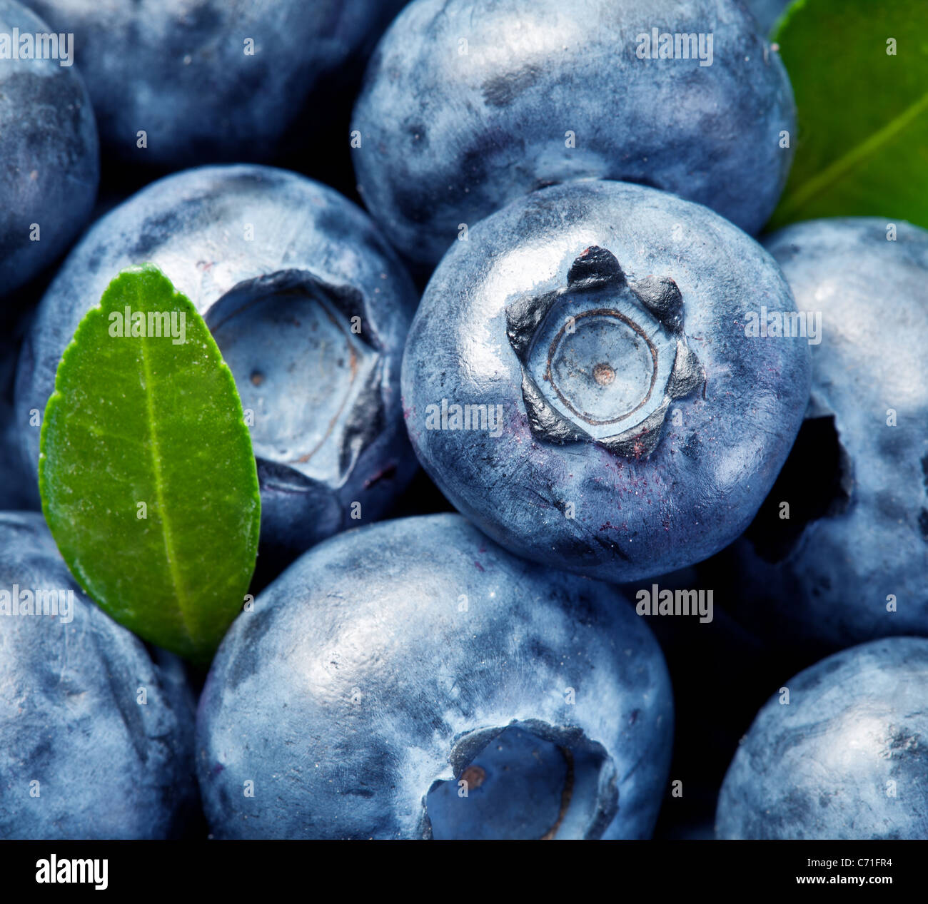 Heidelbeer Makro Stockfotos und -bilder Kaufen - Alamy