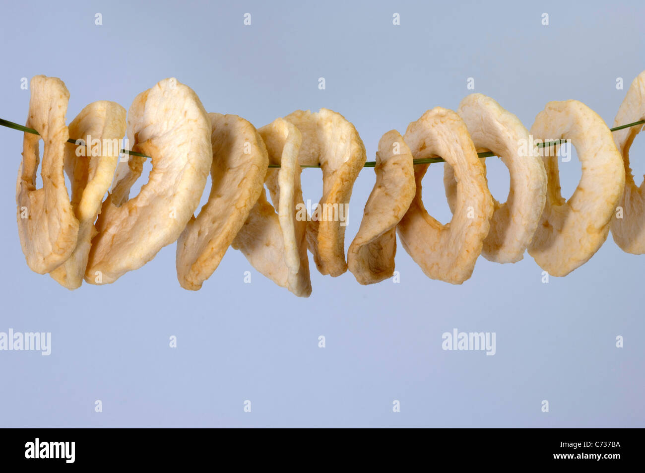 An der schnur -Fotos und -Bildmaterial in hoher Auflösung – Alamy