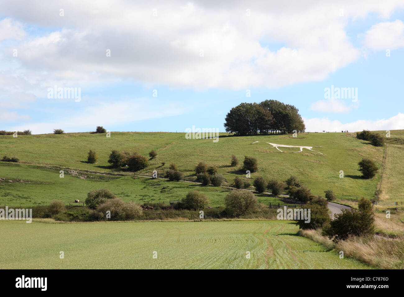 Hackpen Hill, White Chalk Horse, Marlborough Downs, Wiltshire, England ...