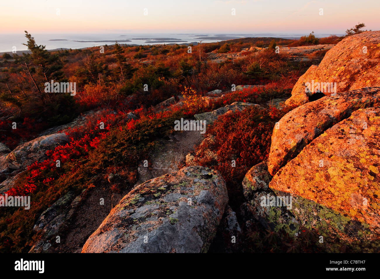 Herbstfarben inmitten Granit Fels zum Gipfel des Cadillac Mountain bei ...