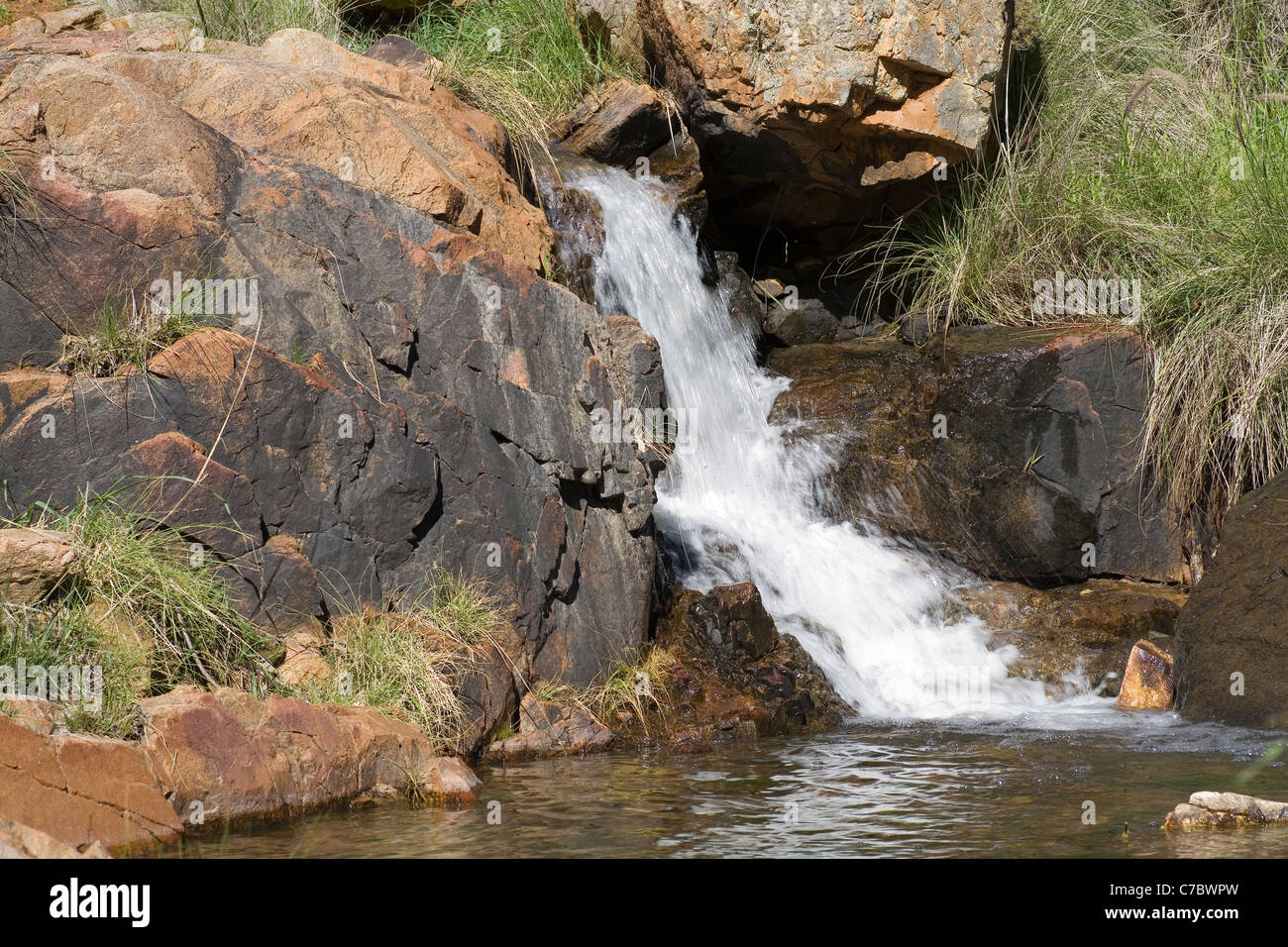 Kleiner Wasserfall in einem australischen Busch Bachlauf. Avon Valley ...