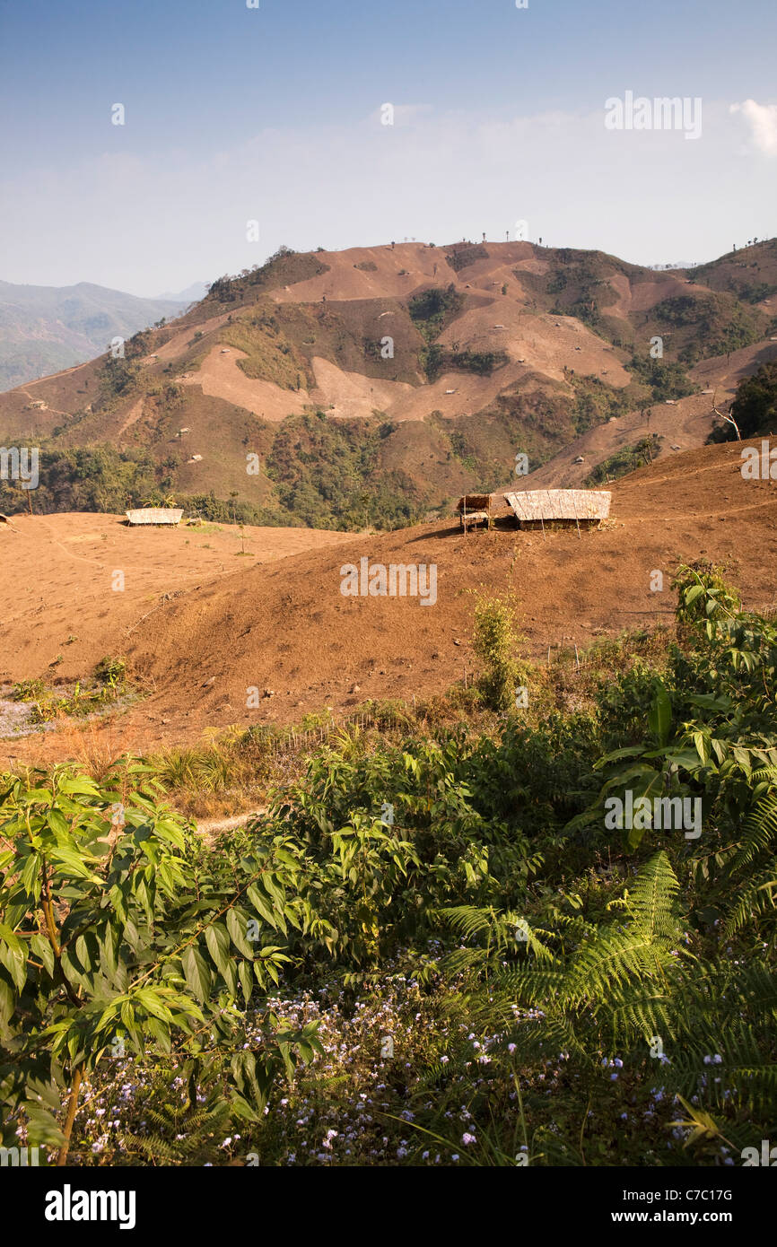 Slash burn agriculture -Fotos und -Bildmaterial in hoher Auflösung – Alamy