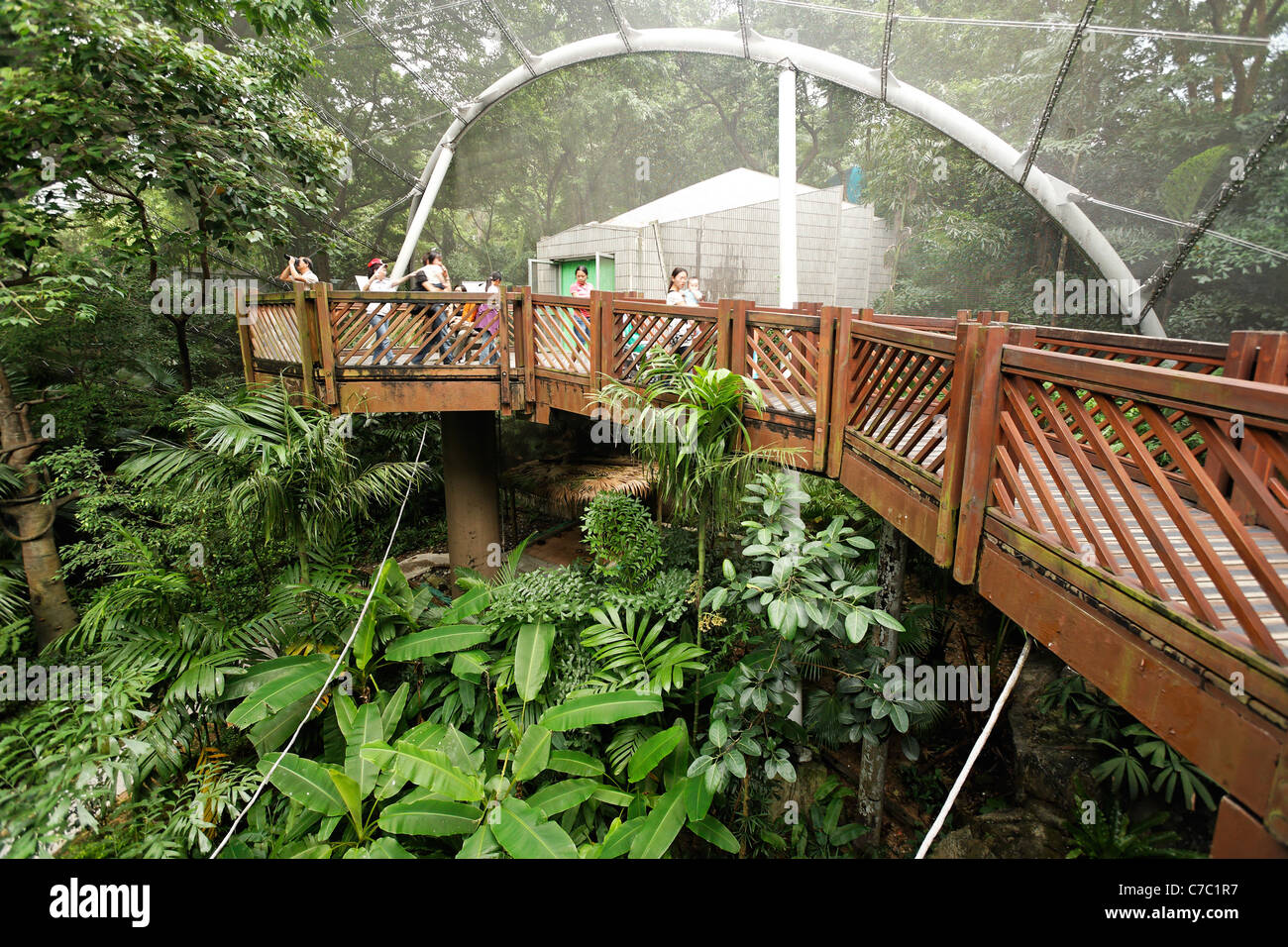 Erhöhten Laufsteg über Baumkronen Edward Youde Aviary, Hong Kong Park ...