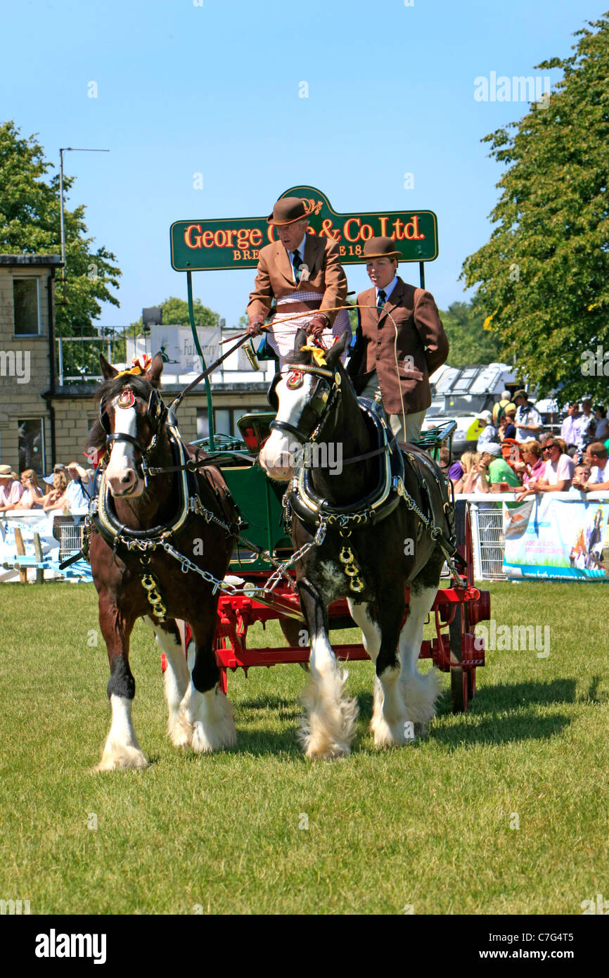 Pferd gezeichneten Brauer Blockwagen auf dem Display an der Badewanne ...