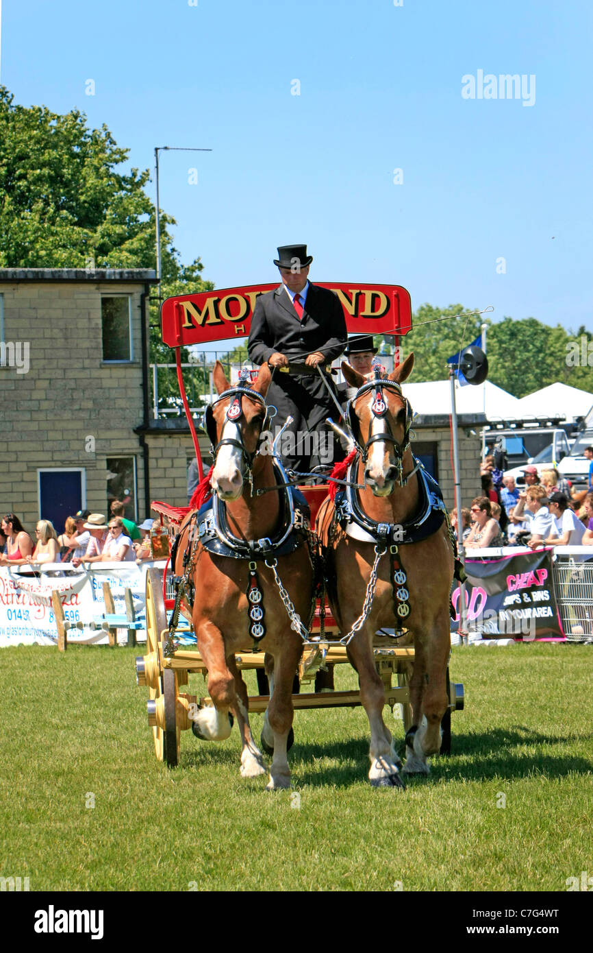 Pferd gezeichneten Brauer Blockwagen auf dem Display an der Badewanne ...