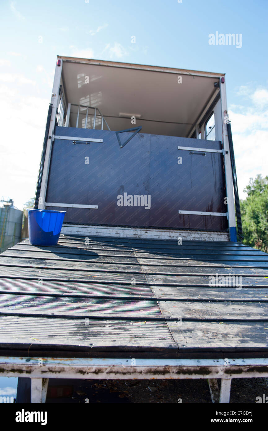Pferdebox pferde lkw -Fotos und -Bildmaterial in hoher Auflösung – Alamy