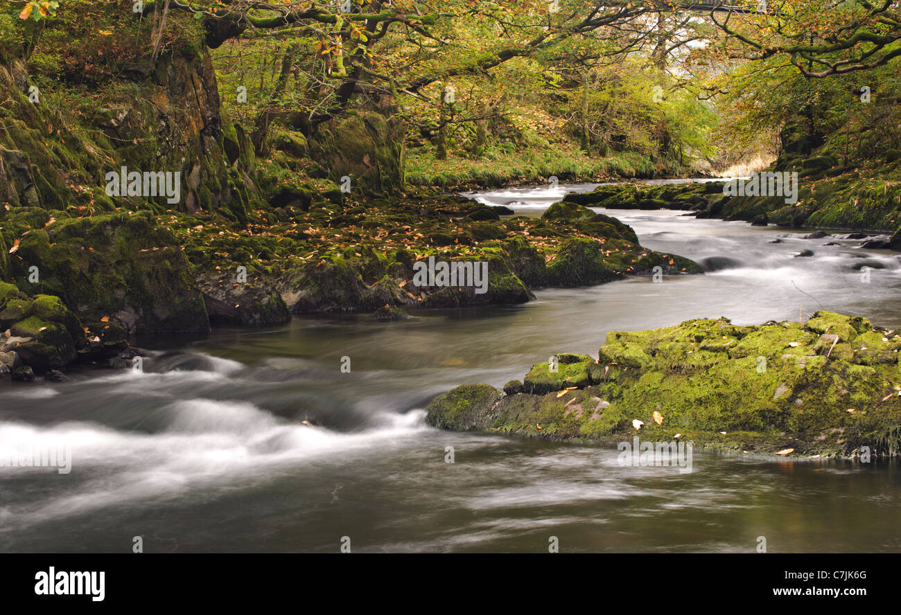 River scen -Fotos und -Bildmaterial in hoher Auflösung – Alamy