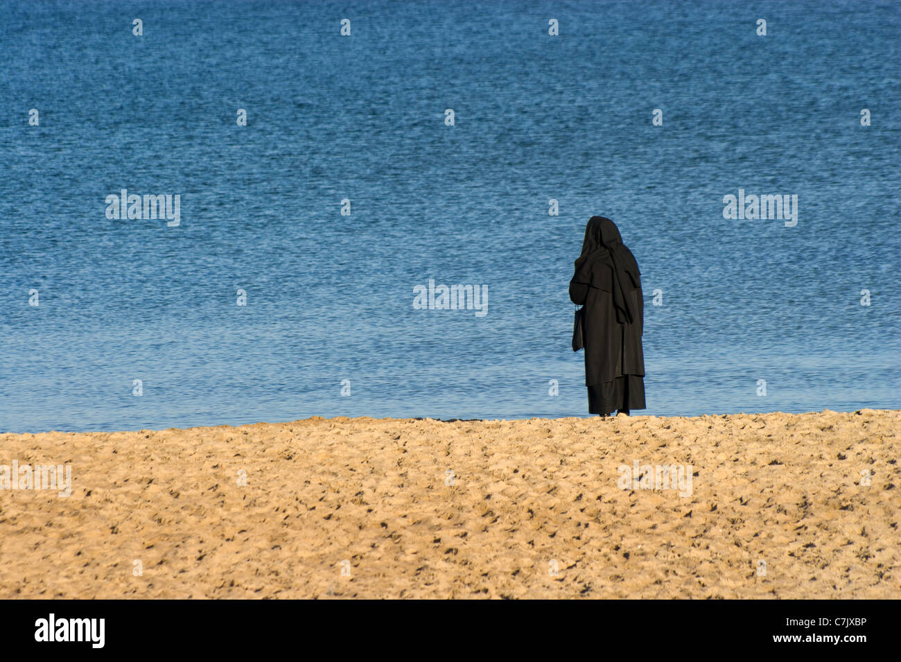 Leben im meer -Fotos und -Bildmaterial in hoher Auflösung – Alamy