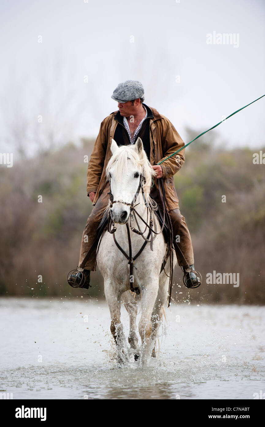 Reiter pferd wasser -Fotos und -Bildmaterial in hoher Auflösung – Alamy