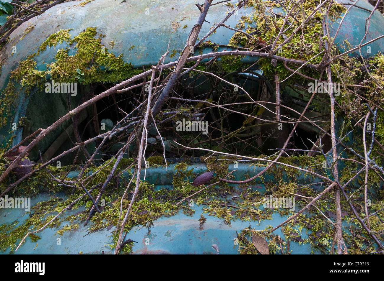 Autos im feld -Fotos und -Bildmaterial in hoher Auflösung – Alamy