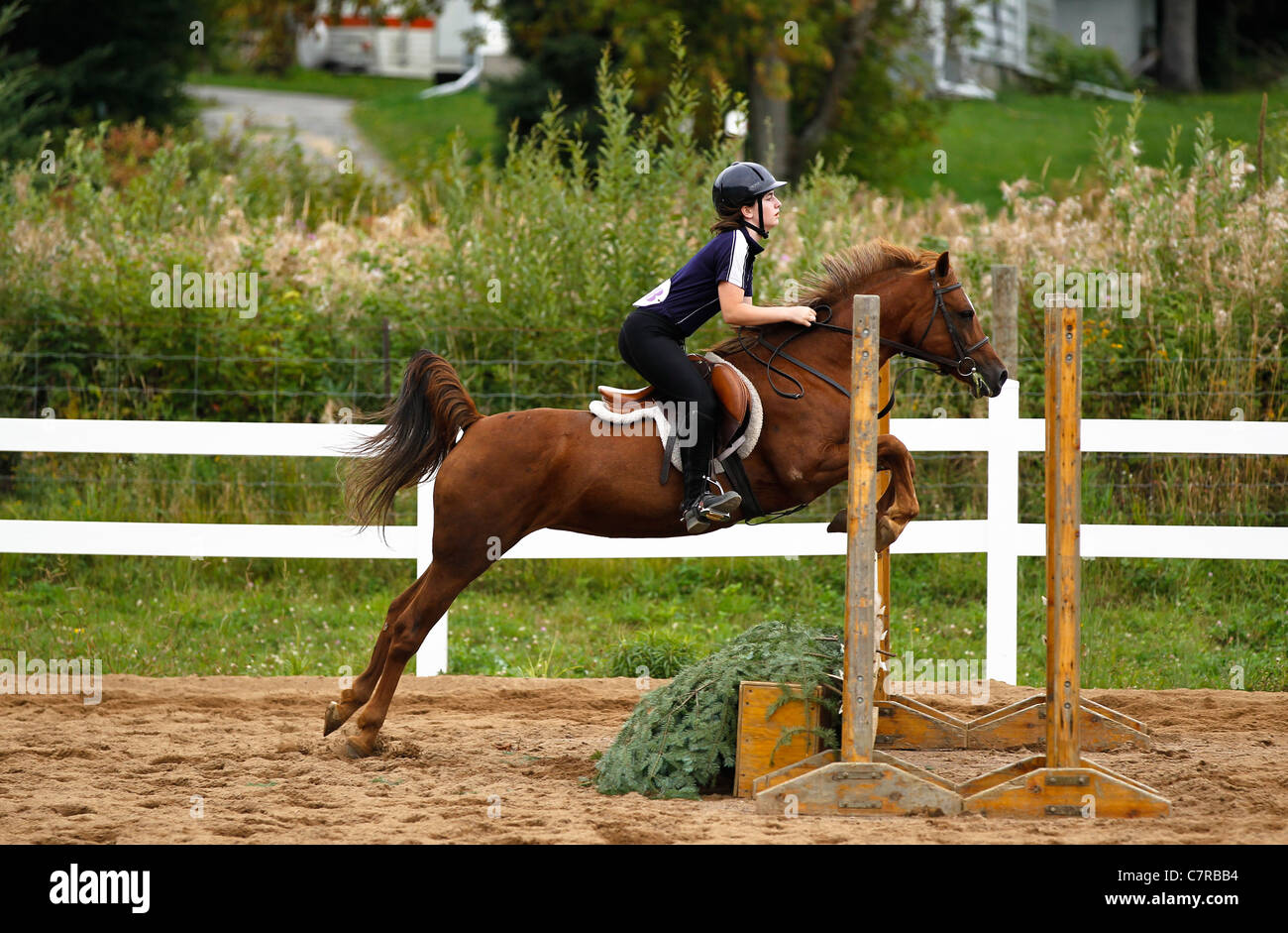 Junge reiterin pferd pony -Fotos und -Bildmaterial in hoher Auflösung ...