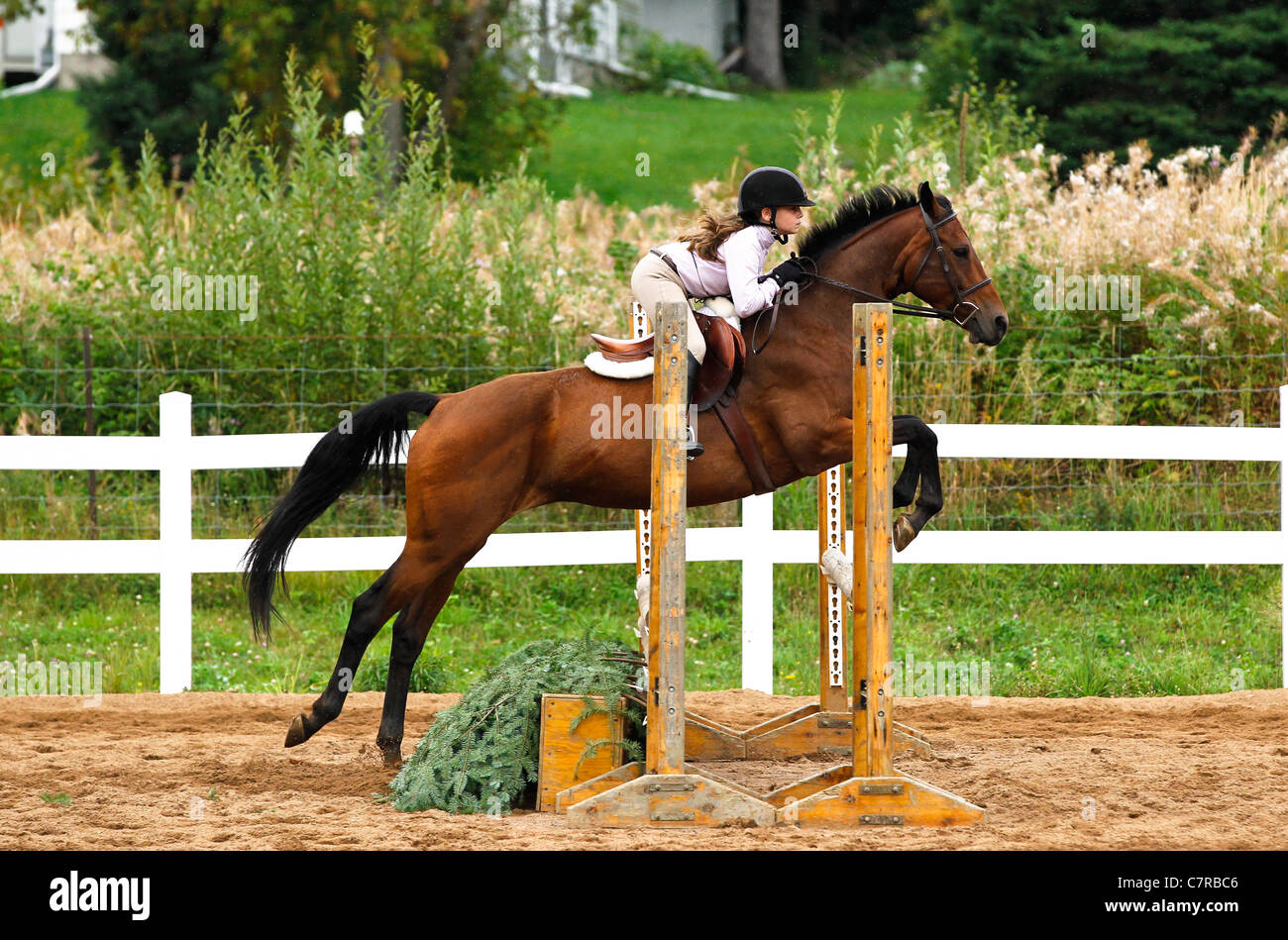 Pferd und reiter springen -Fotos und -Bildmaterial in hoher Auflösung ...