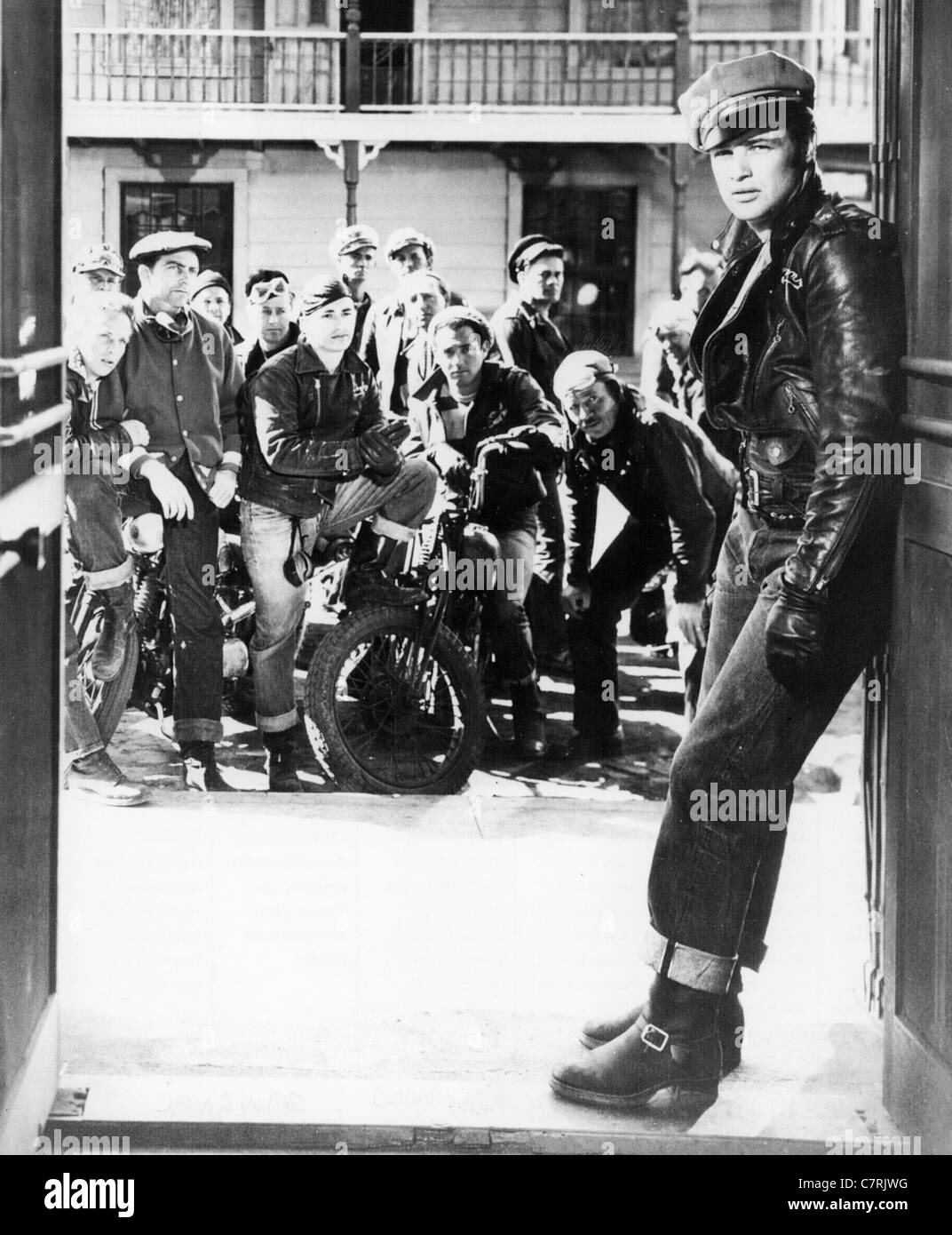 The wild one -Fotos und -Bildmaterial in hoher Auflösung – Alamy