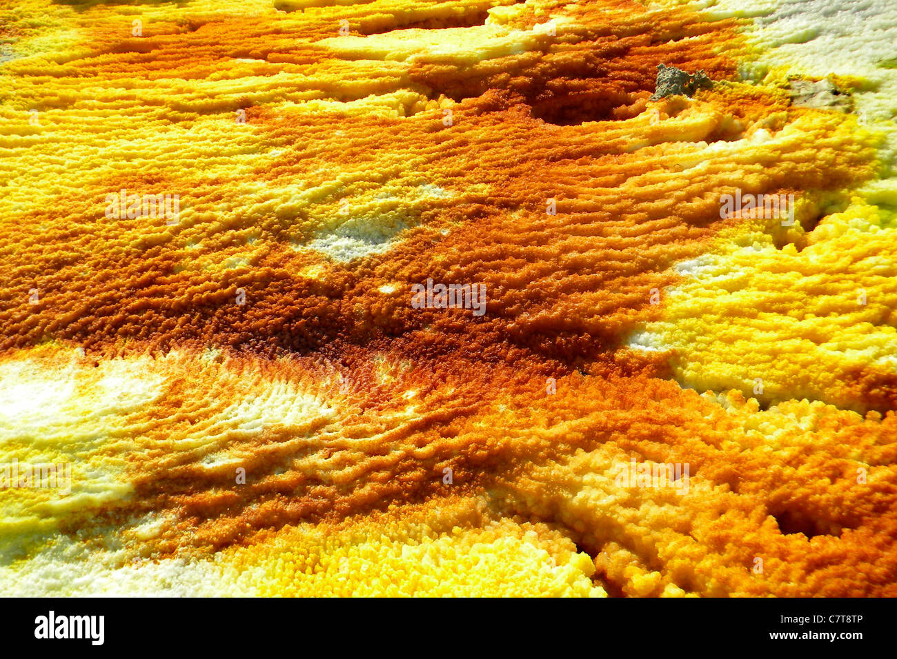 Äthiopien, Danakil-Senke, Dallol Vulkansee, 116m unter dem ...