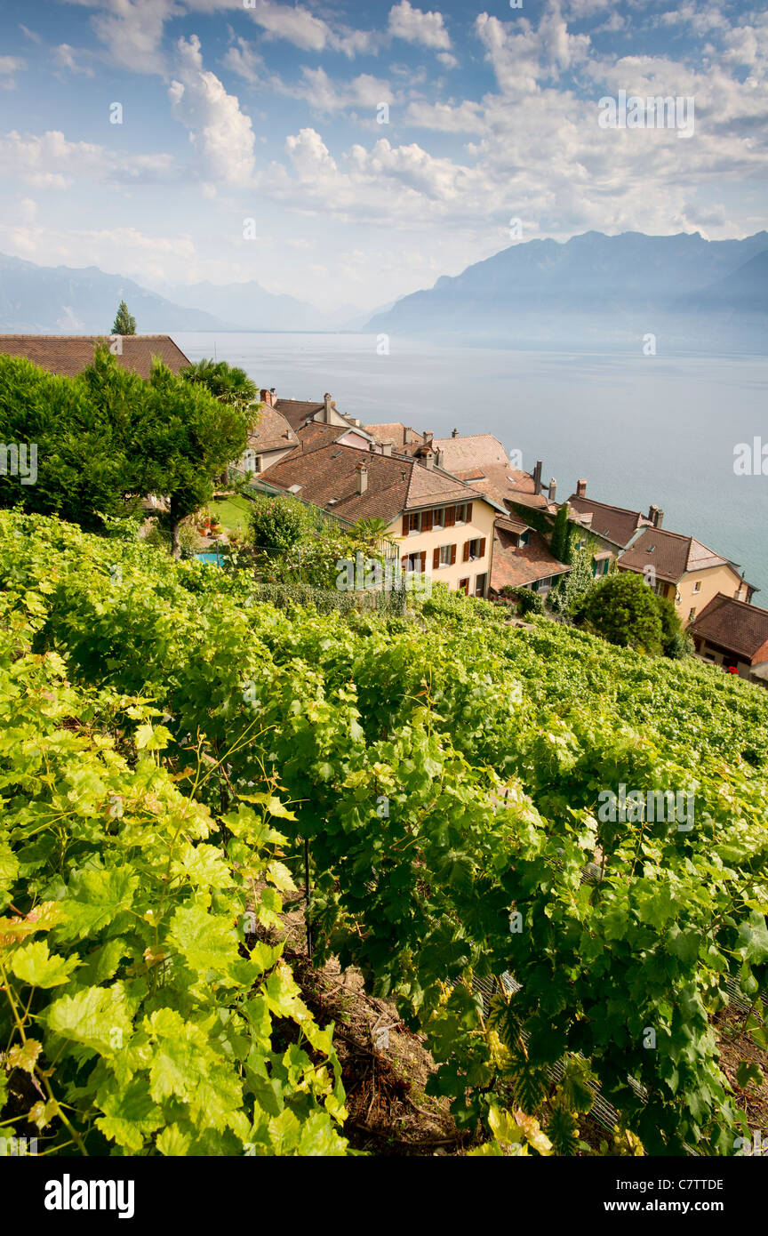 Lavaux unesco welterbe region -Fotos und -Bildmaterial in hoher ...