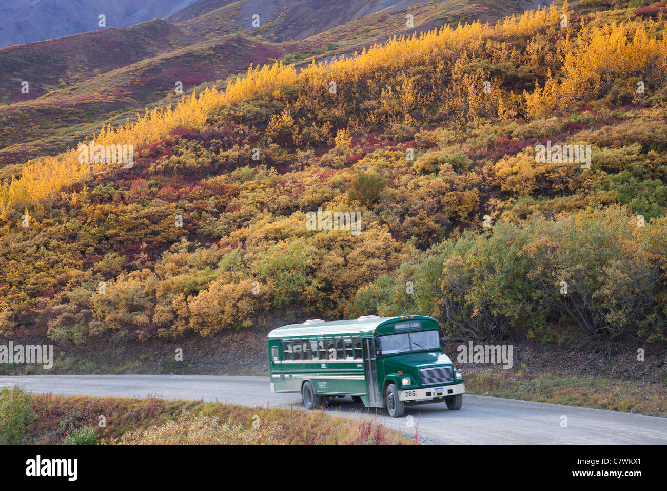 Alaska bus shuttle touristen -Fotos und -Bildmaterial in hoher ...