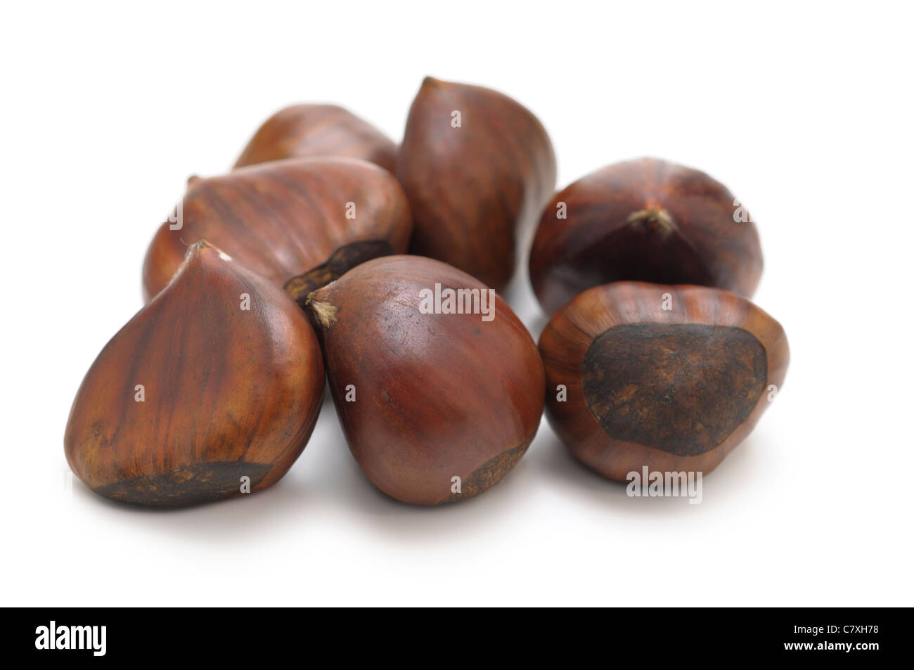 Rosskastanien see Stockfotos und -bilder Kaufen - Alamy